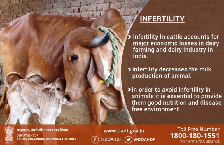TROUBLESHOOTING IN INFERTILITY PROBLEMS IN CATTLE & ITS SOLUTION ...