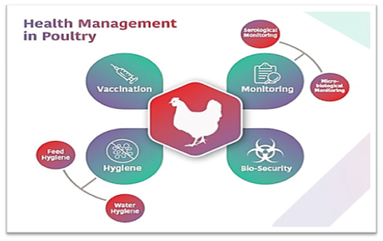 POULTRY MANAGEMENT AND BIOSECURITY MEASURES - Pashudhan Praharee | Pet ...