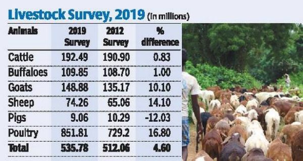 Livestock population up by 4.6%; cow count rises by 18% - Pashudhan ...