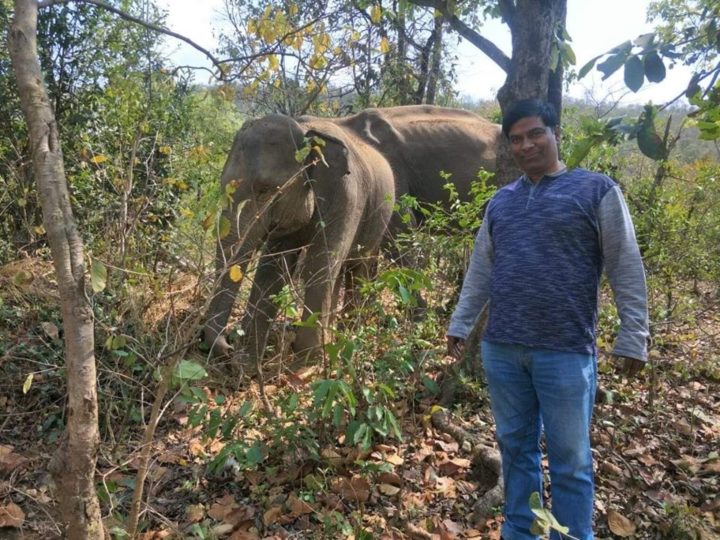 Guidelines for care and management of captive elephants in India laid ...