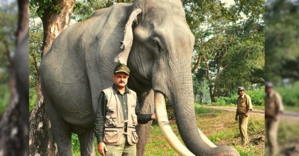 Dr KK Sarma ,a Veterinarian ,popularly known as Elephant Man of Asia ...