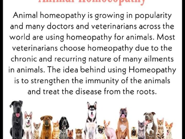 Homeopathic | Pashudhan praharee