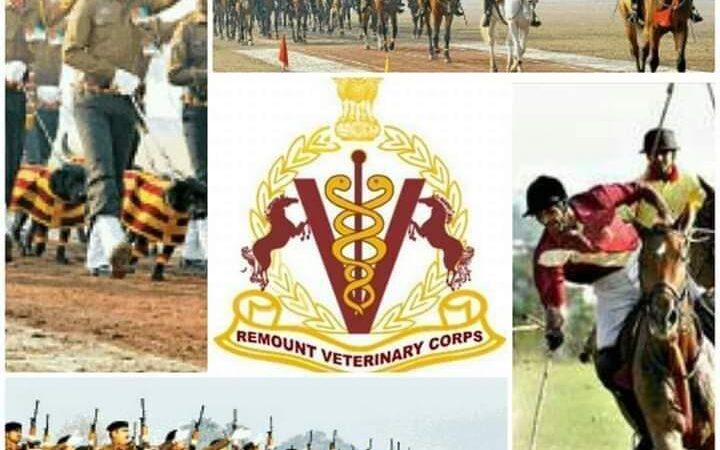 REMOUNT VETERINARY CORPS (RVC):AN OPPORTUNITY FOR VETS TO SERVE OUR ...