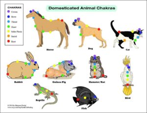REIKI THERAPY FOR ANIMAL HEALING - Pashudhan praharee