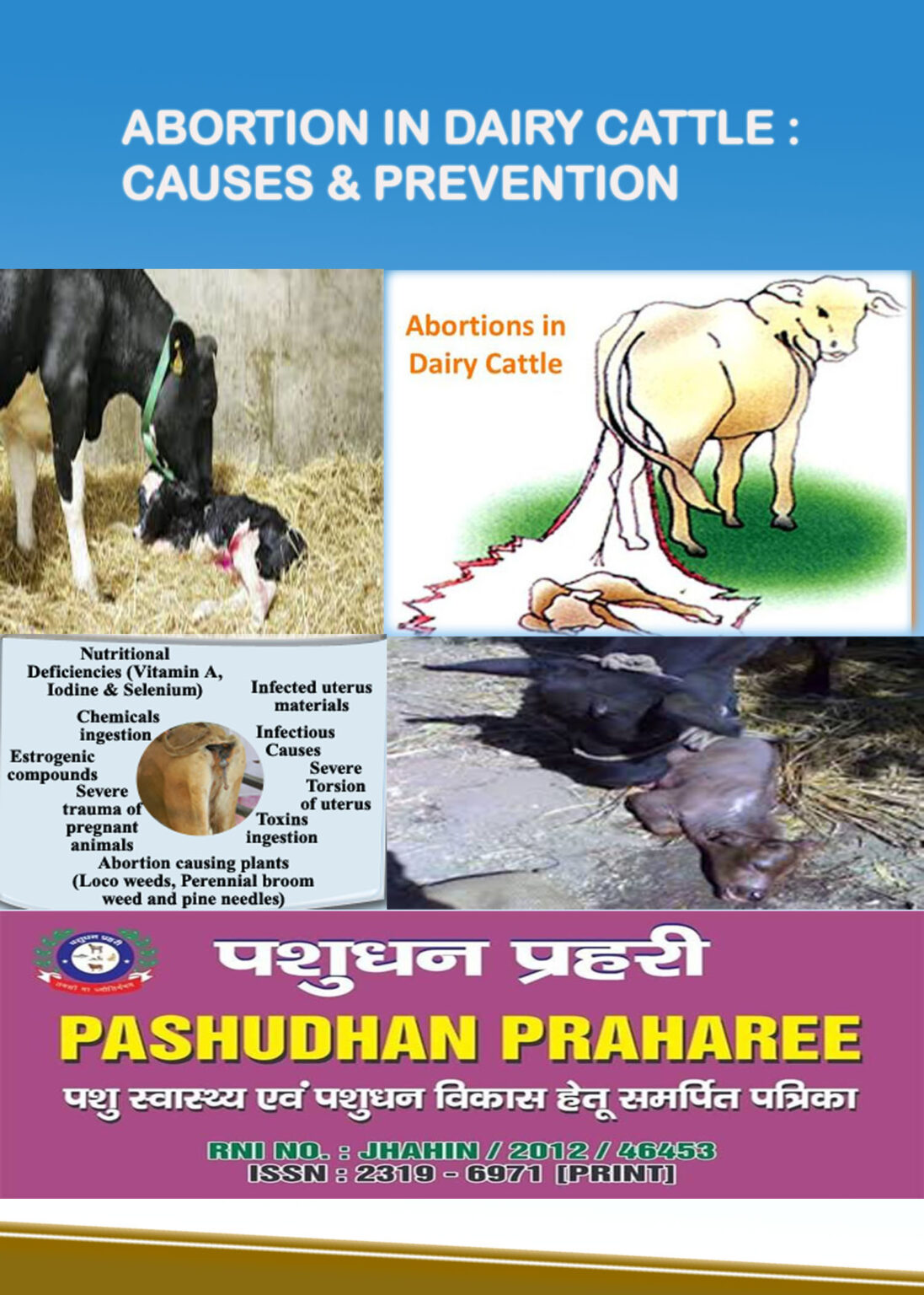 ABORTION IN DAIRY CATTLE :CAUSES & PREVENTION - Pashudhan Praharee ...