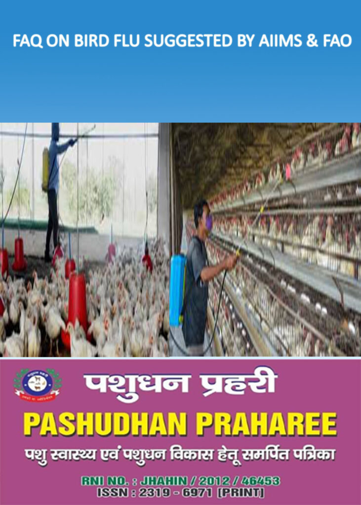 FAQ ON BIRD FLU SUGGESTED BY AIIMS & FAO - Pashudhan Praharee | Pet ...