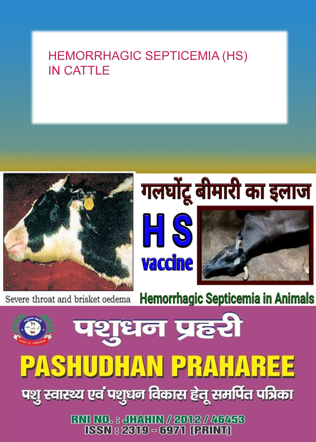 HEMORRHAGIC SEPTICEMIA (HS) IN CATTLE - Pashudhan Praharee | Pet Care Blog