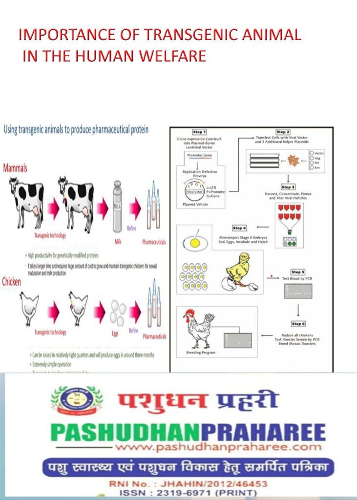 PRODUCTION & APPLICATION OF TRANSGENIC ANIMAL FOR IMPROVING LIVESTOCK ...