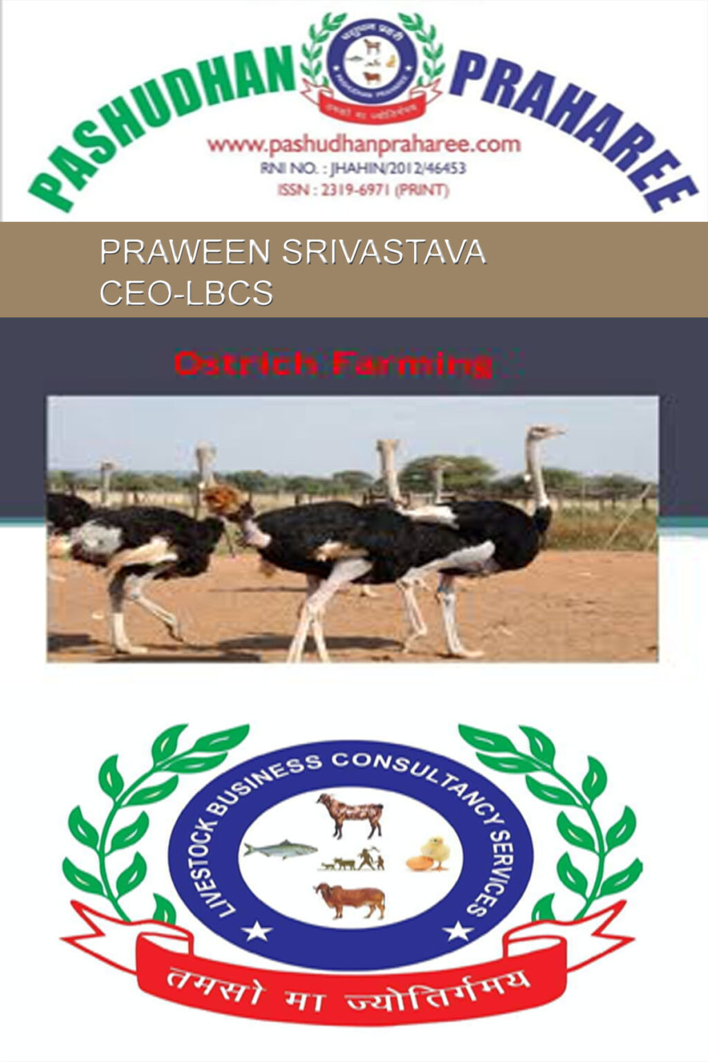 PROSPECTS OF OSTRICH FARMING IN INDIA - Pashudhan Praharee | Pet Care Blog