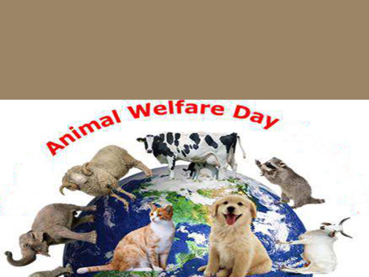Animal Welfare-पशु कल्याण | Pashudhan praharee