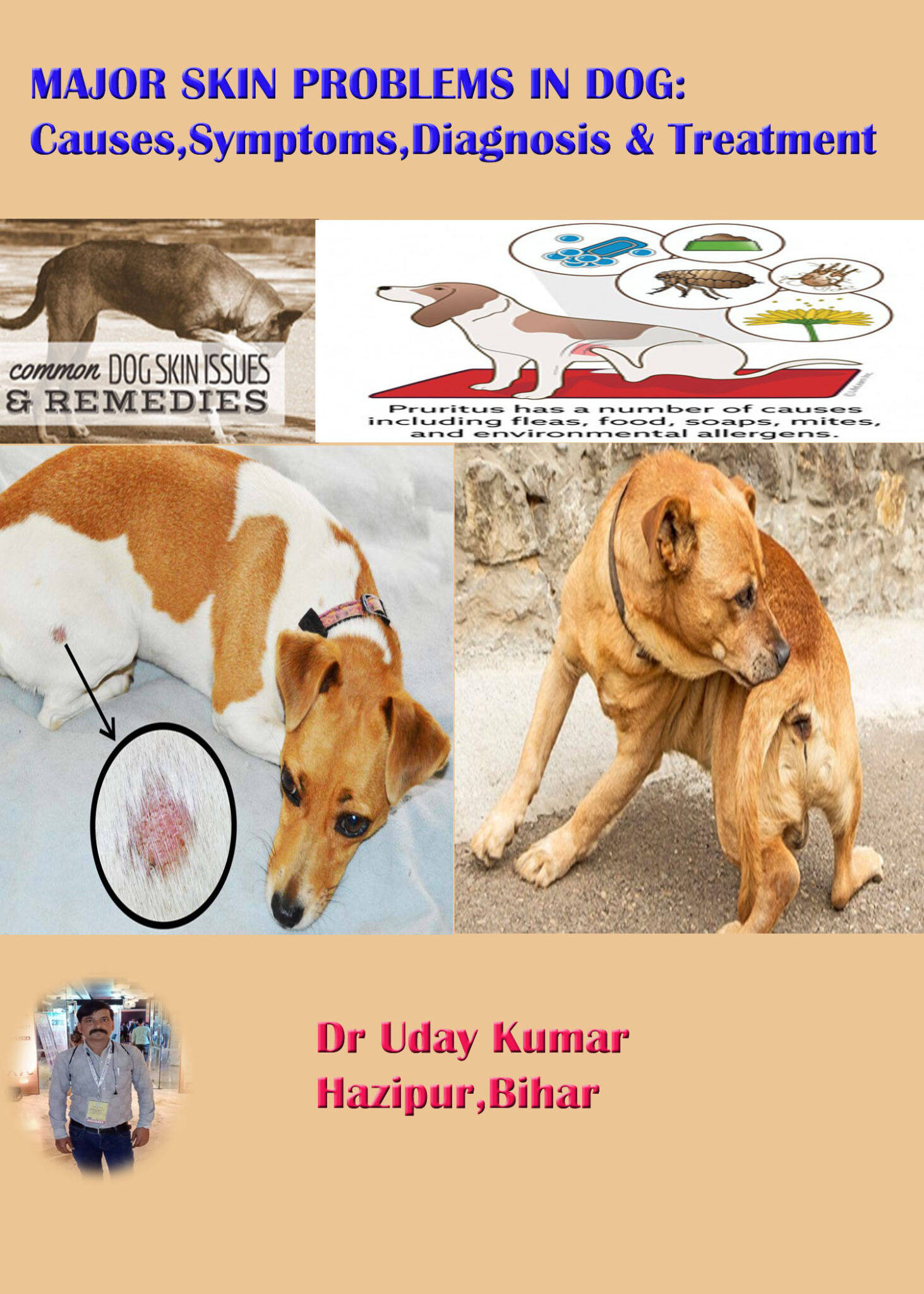 MAJOR SKIN PROBLEMS IN DOG: Causes,Symptoms,Diagnosis & Treatment ...