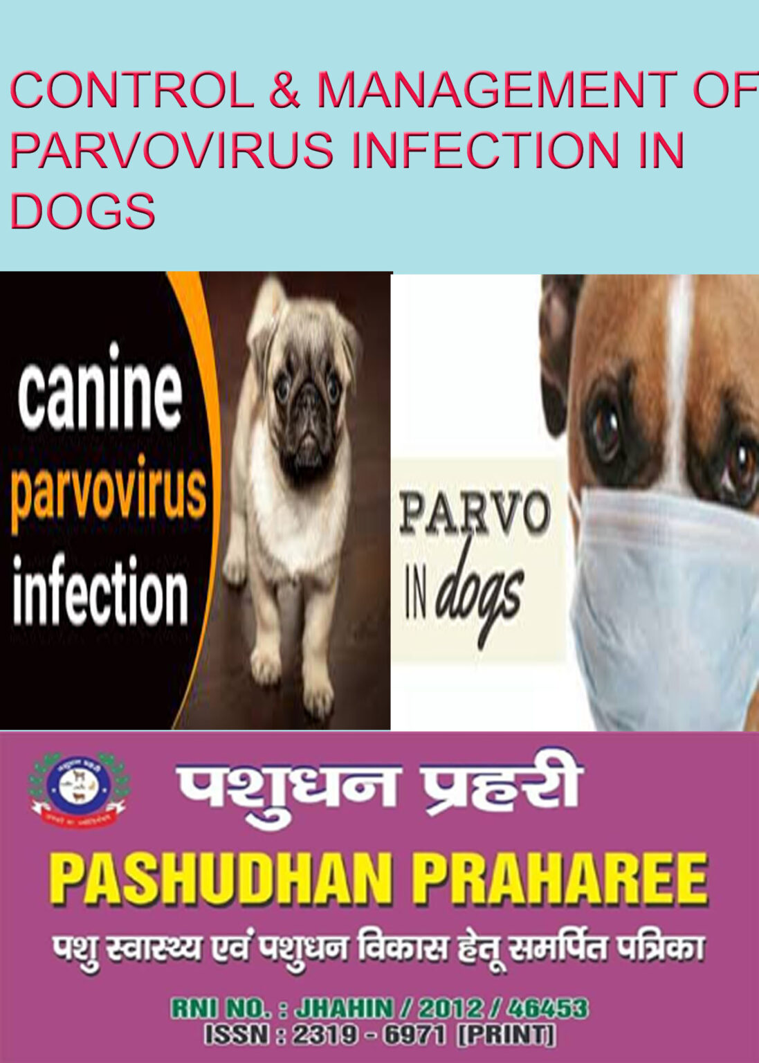 CONTROL & MANAGEMENT OF PARVOVIRUS INFECTION IN DOGS - Pashudhan ...