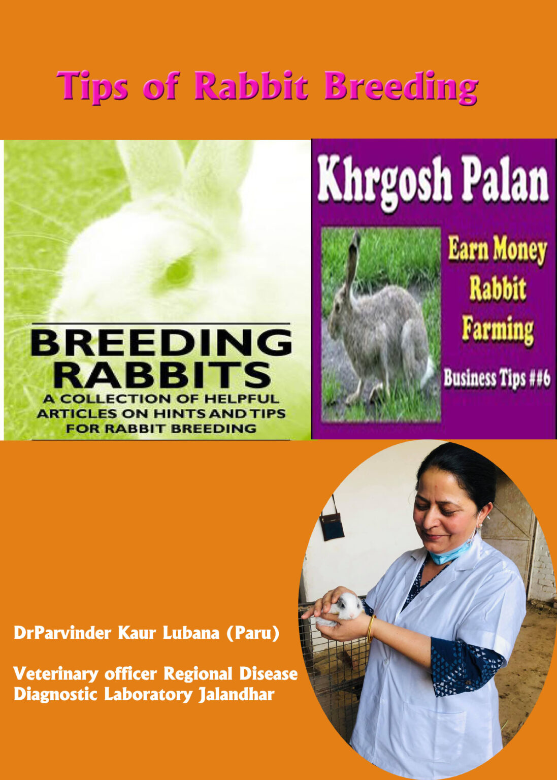 Tips of Rabbit Breeding - Pashudhan Praharee | Pet Care Blog