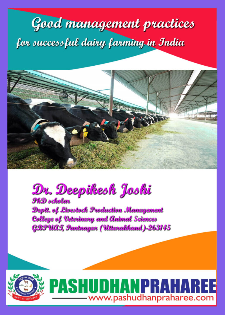 Good management practices for successful dairy farming in India ...