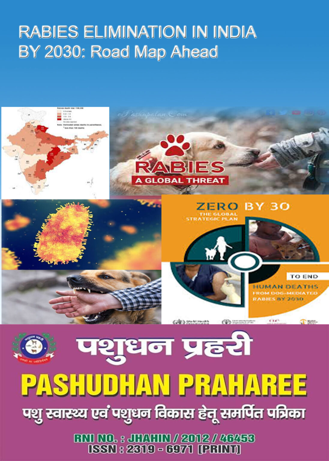 National Action Plan for Eliminating Dog Mediated Rabies