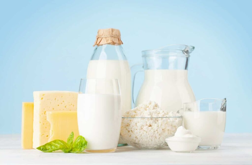 SOP OF DAIRY PRODUCTS FROM FARM TO PLATE