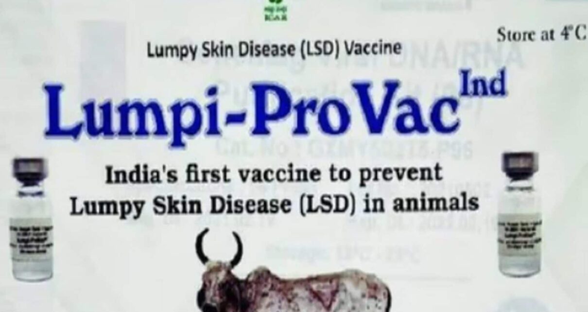 LUMPY SKIN DISEASE (LSD) OUTBREAK: INDIGENOUS VACCINE STILL AWAITS ...