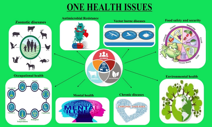 ONE HEALTH APPROACH : THE NEED OF THE HOUR