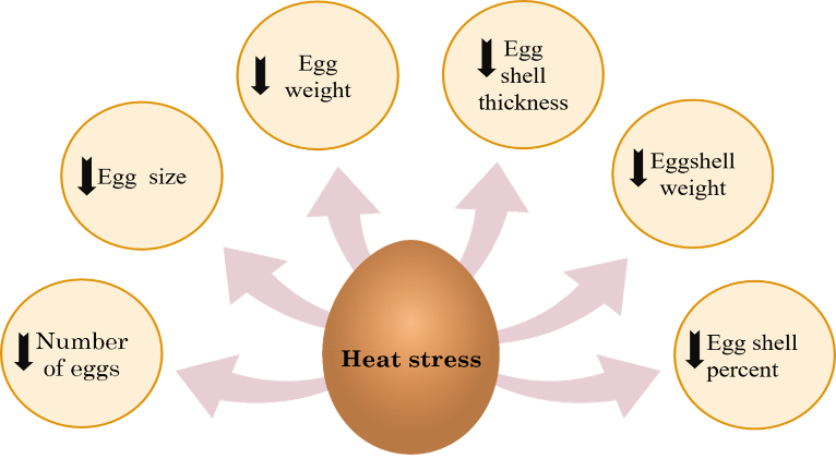 CLIMATIC CHALLENGES ON POULTRY PRODUCTION AND ITS AMELIORATION ...