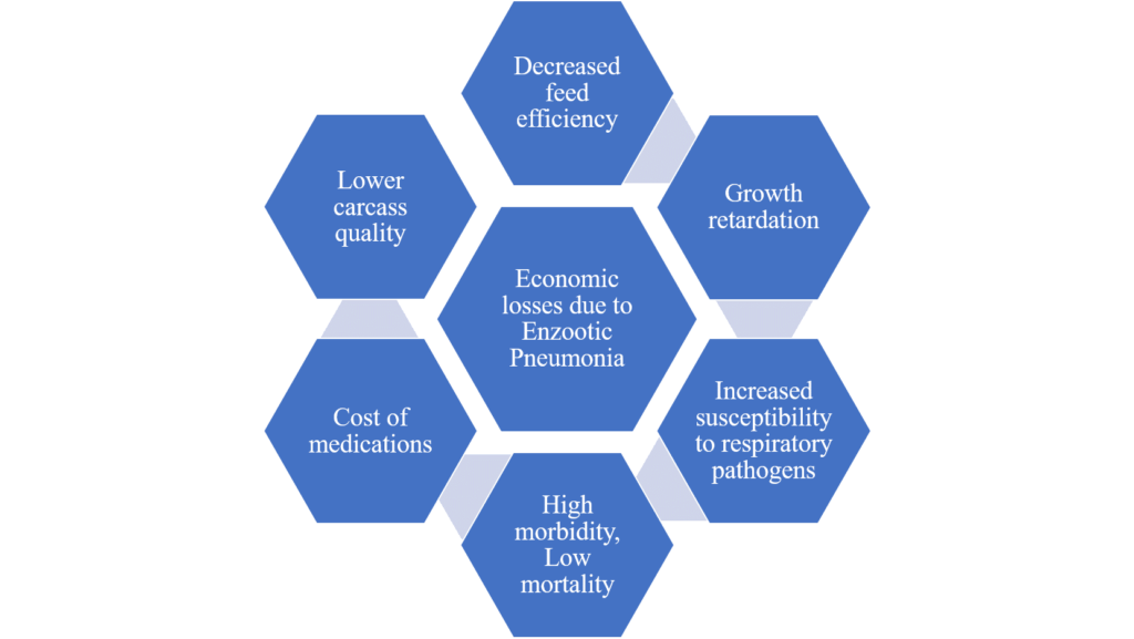 Enzootic Pneumonia in Pigs: An Inherent Threat to Swine Industry ...