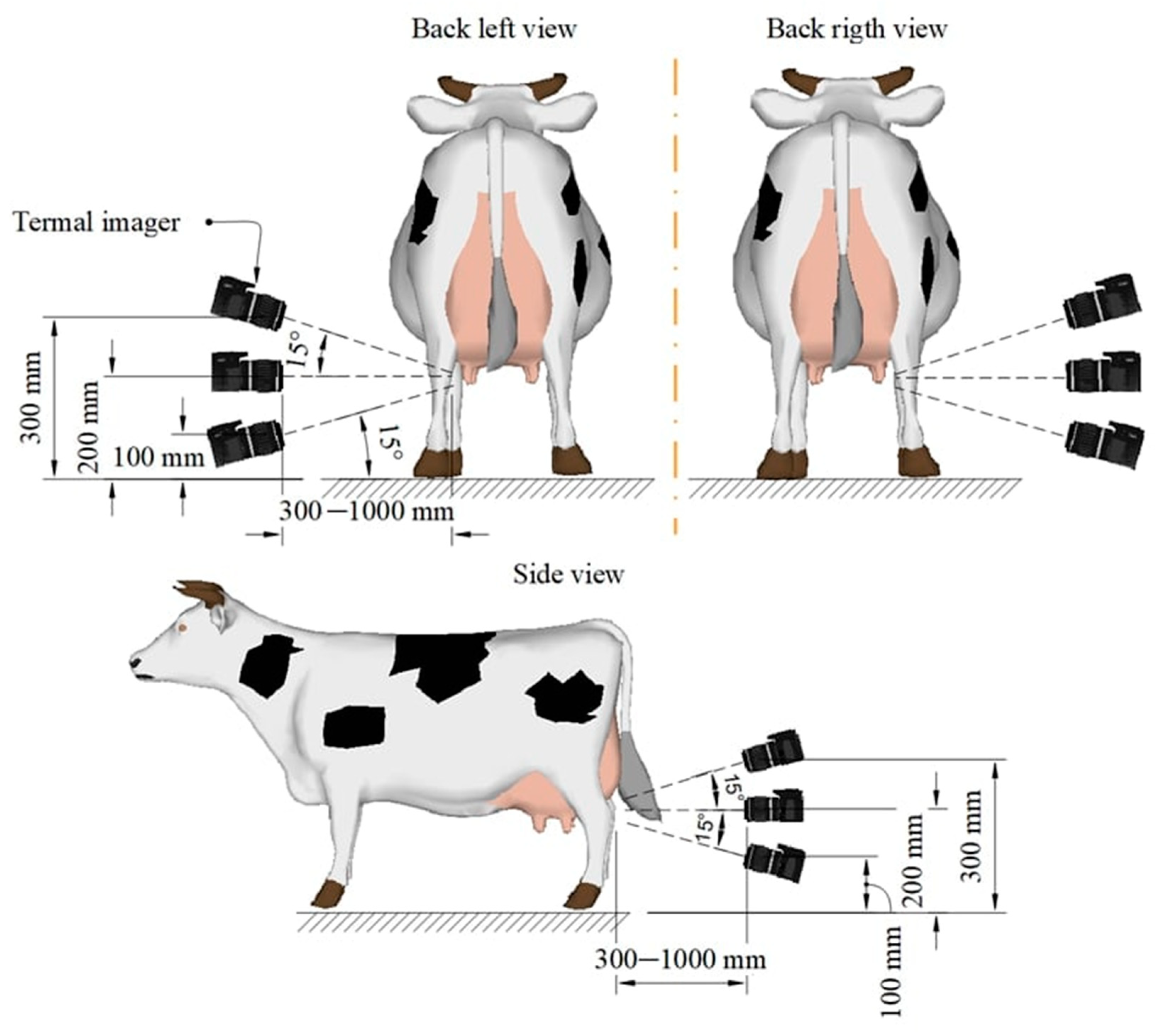 Mastitis Detection in Dairy Cows using Artificial Intelligence ( AI ... Mastitis Detection in Dairy Cows using Artificial Intelligence ( AI ...