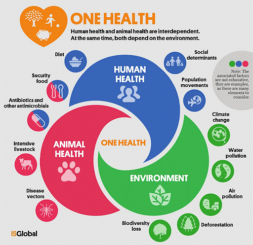 One World, One Health: Prevent Zoonosis - Pashudhan Praharee | Pet Care ...