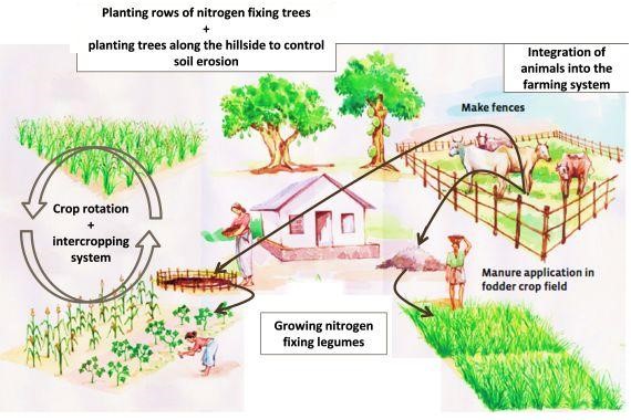 Integrated Farming System Model | Pashudhan Praharee | Pet Care Blog Integrated Farming System Model | Pashudhan Praharee | Pet Care Blog