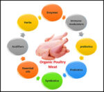 ROLE OF POULTRY MEAT AND EGG PRODUCTS IN IMMUNITY BOOSTING AGAINST ...