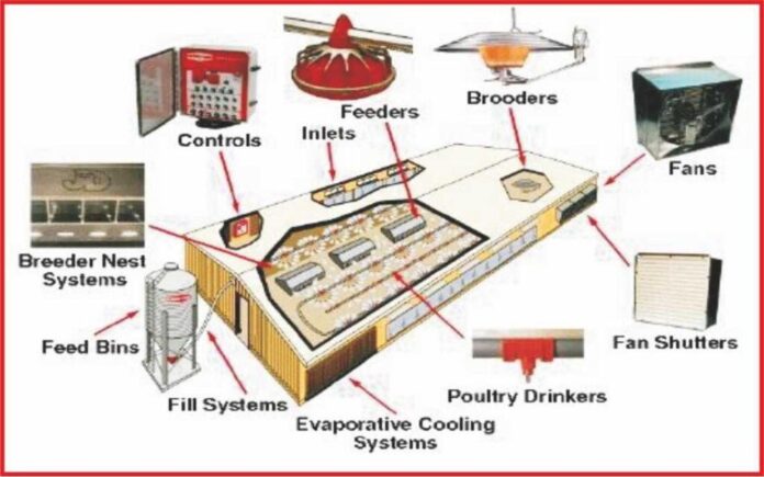 Artificial Intelligence in Poultry Industry : Prospects of Automation ...