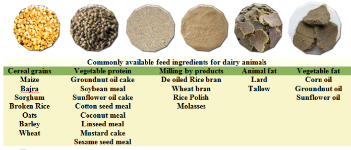 STANDARD PROTOCOLS & PRACTICES FOR ORGANIC DAIRY FARMING IN INDIA ...
