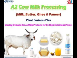 PROJECT REPORT OF A2 MILK DAIRY FARM - Pashudhan Praharee | Pet Care Blog