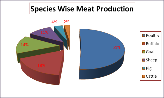 An Overview of the Indian Meat Industry - Pashudhan Praharee | Pet Care ...