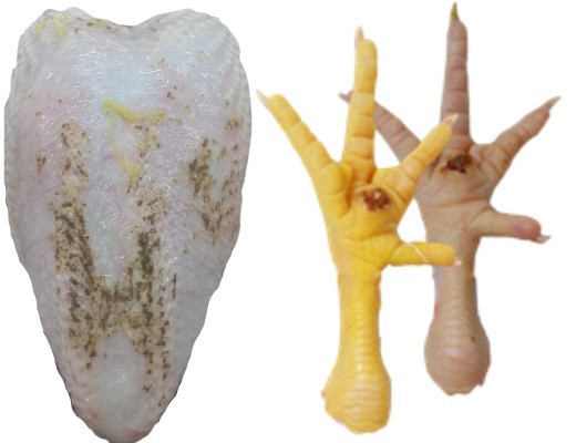 Key Notes on Poultry Carcass Quality - Pashudhan Praharee | Pet Care Blog