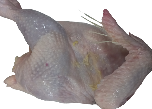Key Notes on Poultry Carcass Quality - Pashudhan Praharee | Pet Care Blog