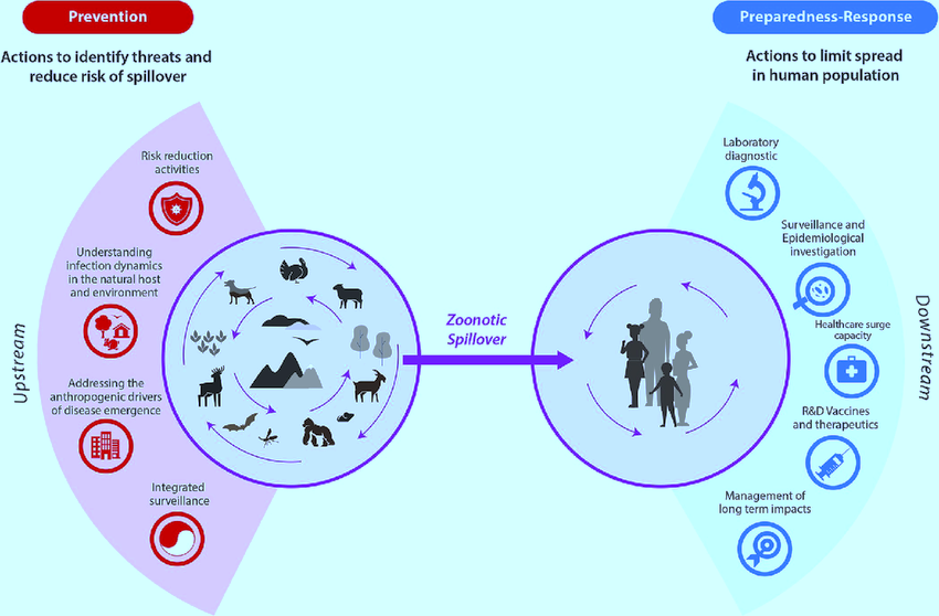 One World, One Health: Prevent Zoonoses, Stop the Spread - Pashudhan ...
