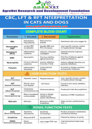 Interpretations of CBC (Complete Blood Count),LFT & KFT Parameters in ...
