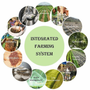 The Synergy Between Crops and Livestock: The Key to a Self-Sufficient ...
