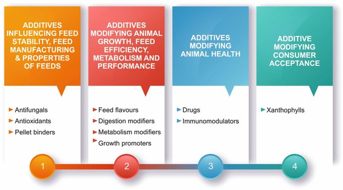 Feed Additives in Animal Health - Pashudhan Praharee | Pet Care Blog
